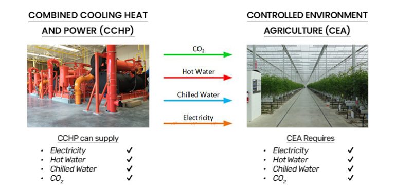 Controlled Environment Agriculture and CHP - A Perfect Combination ...